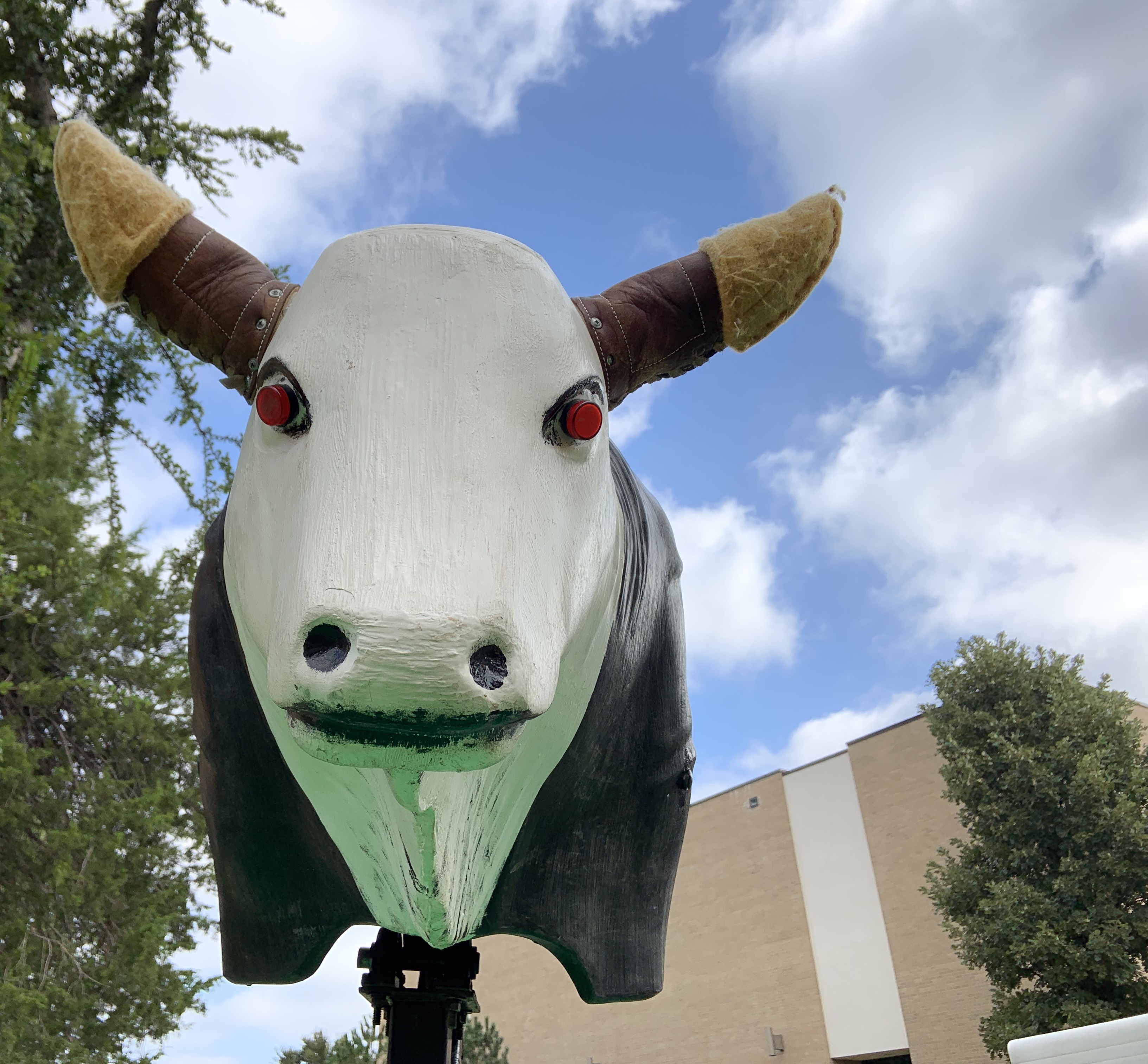 Bull Ride – The Ranger